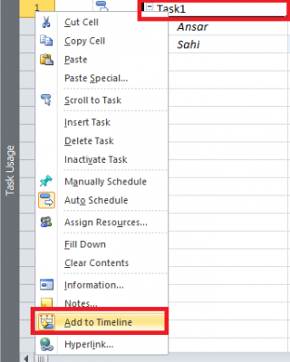 How to Create Timelines in Microsoft Project