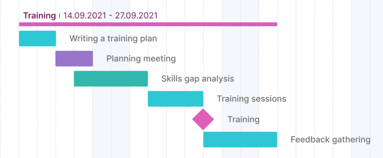 What Are the Examples of Project Milestones?
