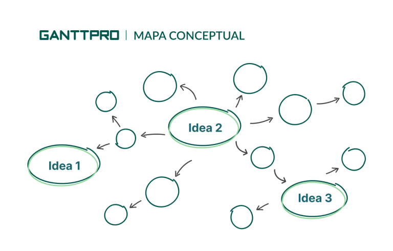 Tipos de organizadores gráficos con ejemplos